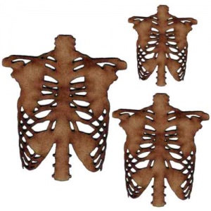 Rib Cage MDF Wood Shape
